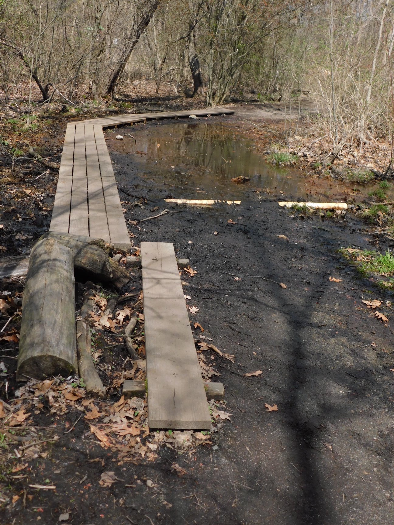 Trail renovation – Phase 1 complete – Welcome to Friends of Cold Spring ...