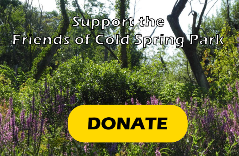 Welcome to Friends of Cold Spring Park, Newton, Mass! – A community ...