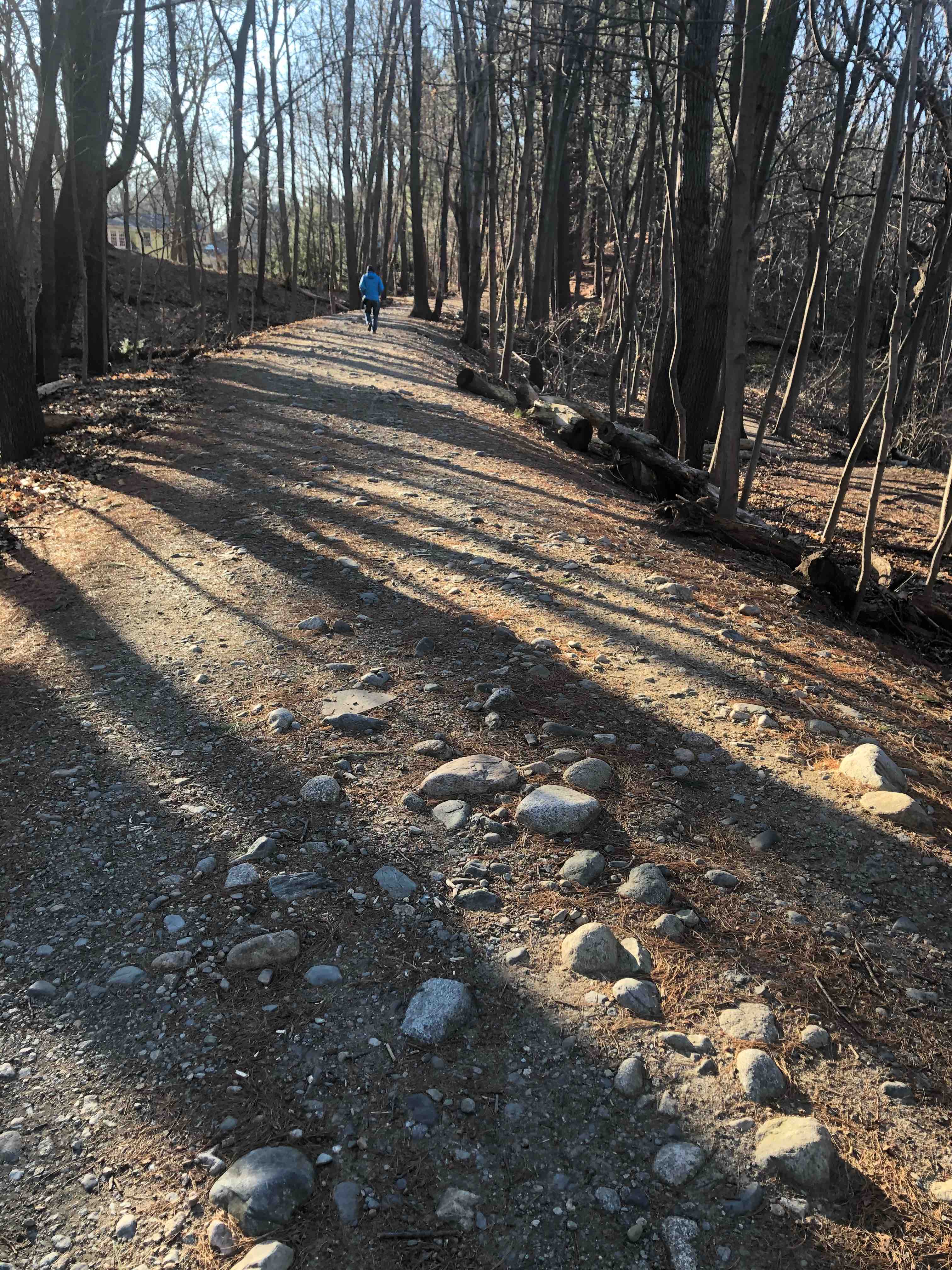 Aqueduct rocks – Welcome to Friends of Cold Spring Park, Newton, Mass!