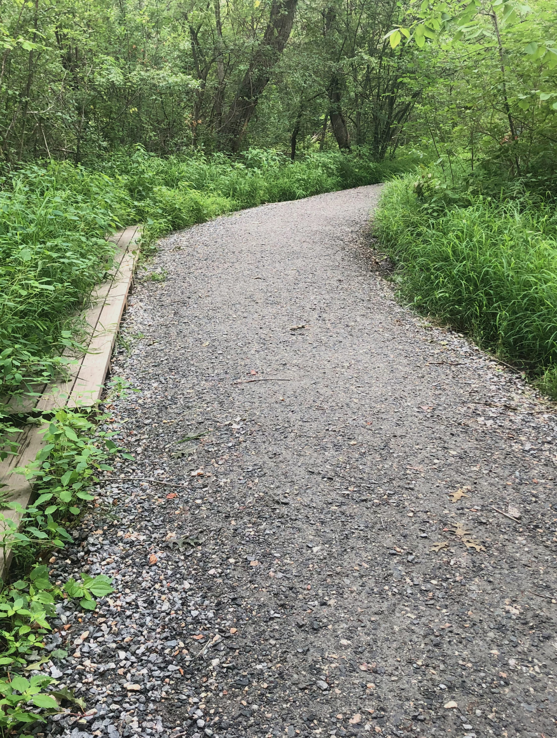Post boardwalk 2020b – Welcome to Friends of Cold Spring Park, Newton ...