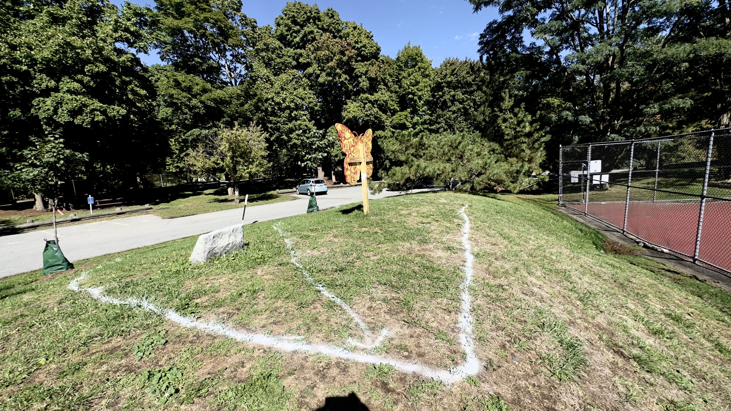 Making the pollinator garden – Welcome to Friends of Cold Spring Park ...