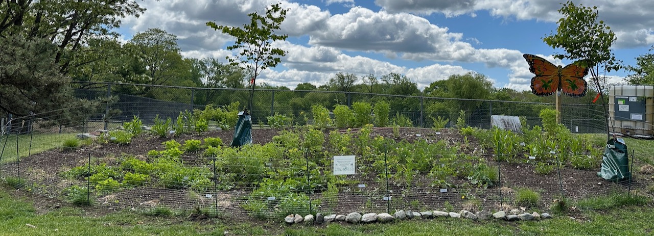 Welcome to Friends of Cold Spring Park, Newton, Mass! – A community ...